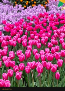 POCO F7 Ultra camera samples show that all cameras are good - XiaomiTime