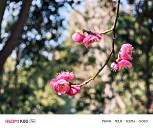 POCO F7 Ultra camera samples show that all cameras are good - XiaomiTime